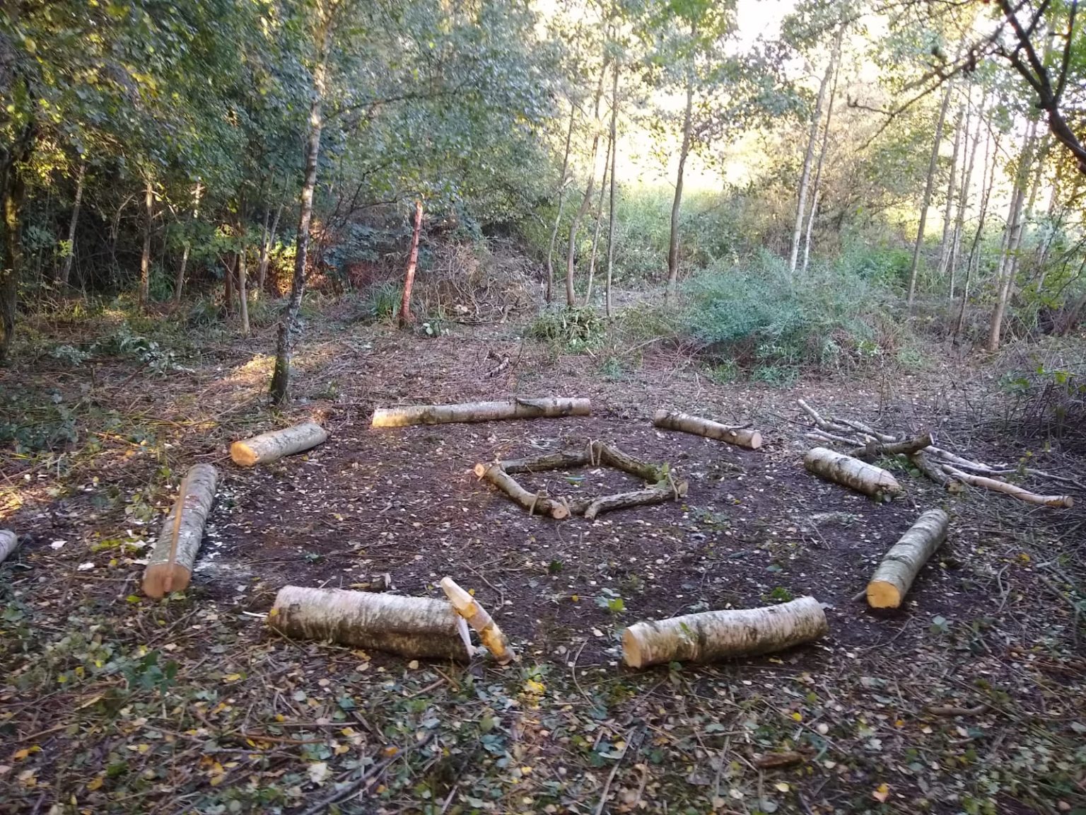 Forest School Practitioner Training Level 3 – Forest School Training Centre